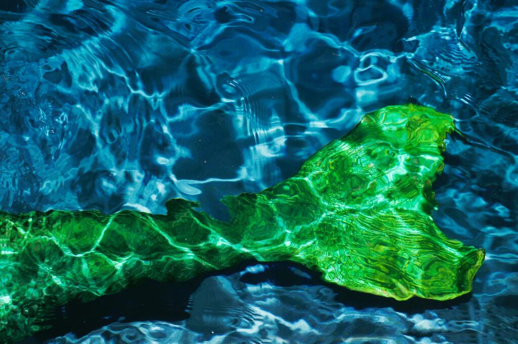 La leggenda della sirena Partenope: perché i napoletani sono partenopei